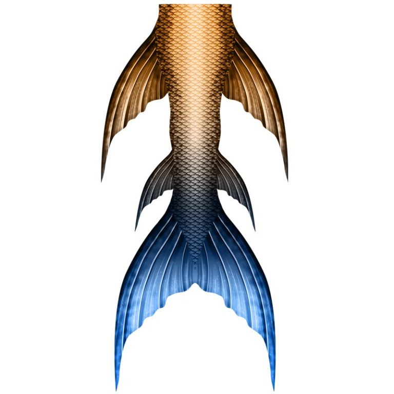 Mermaid Tails in South Africa - Two Oceans Mermaid Tails